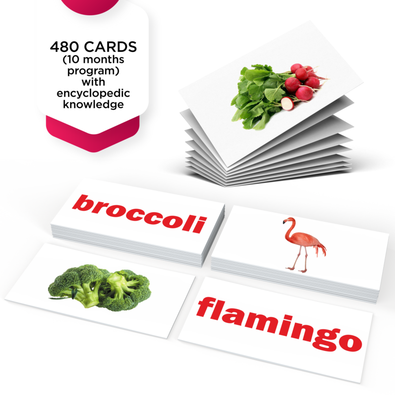 Cognitive Stimulation Program (300 Days Program) – Miniwhale