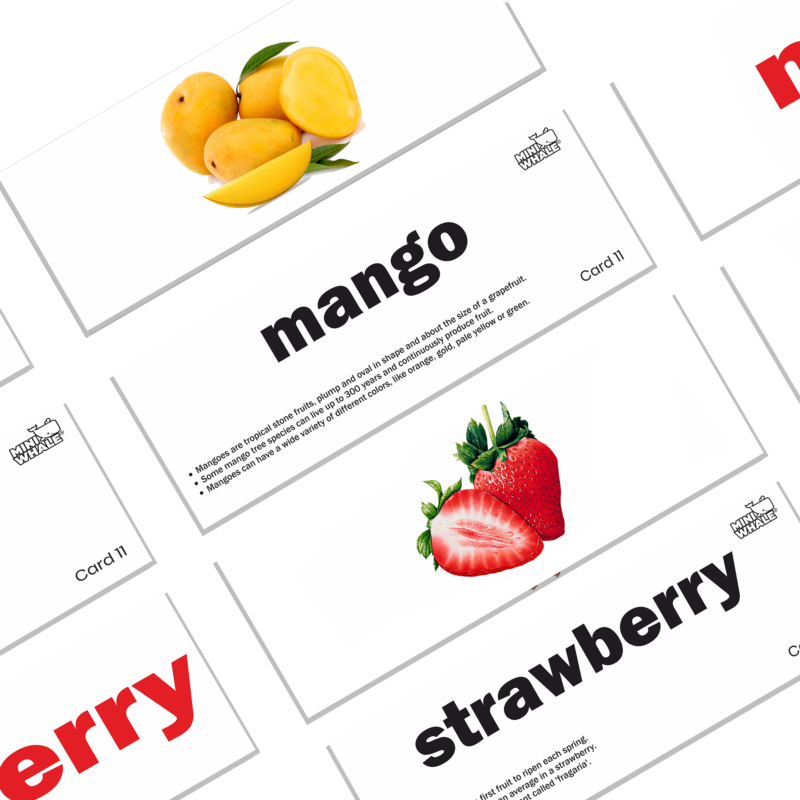 Cognitive Stimulation Program (300 Days Program) – Miniwhale