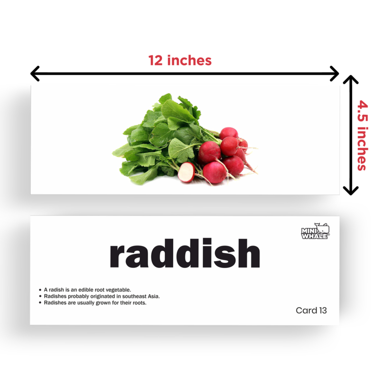 Cognitive Stimulation Program (300 Days Program) – Miniwhale