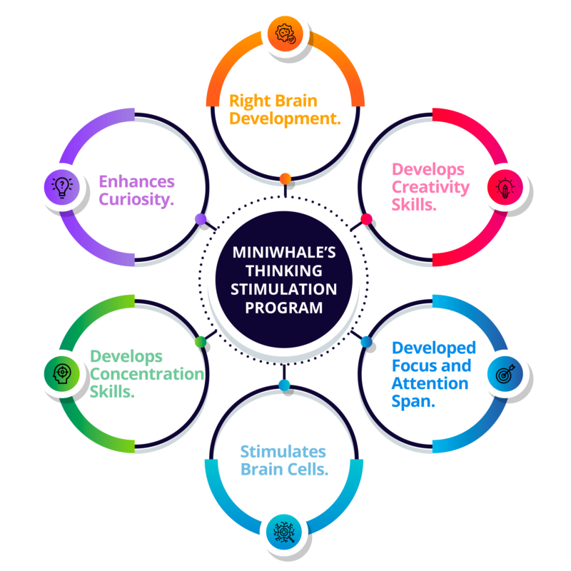 Thinking Stimulation Program (90 Days Program) – Miniwhale