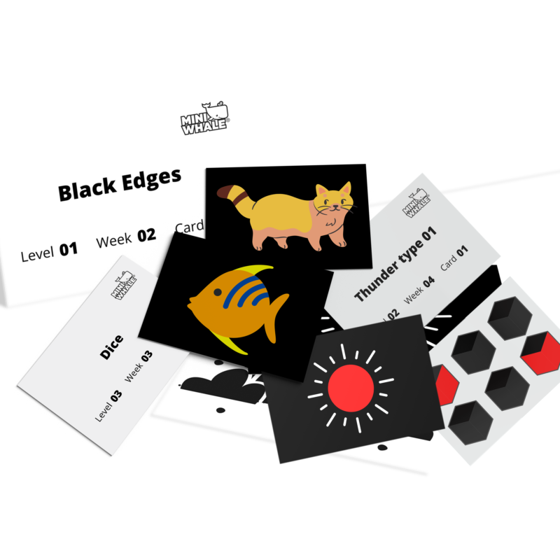 Infant Stimulation Program (15 Months Program) – Miniwhale