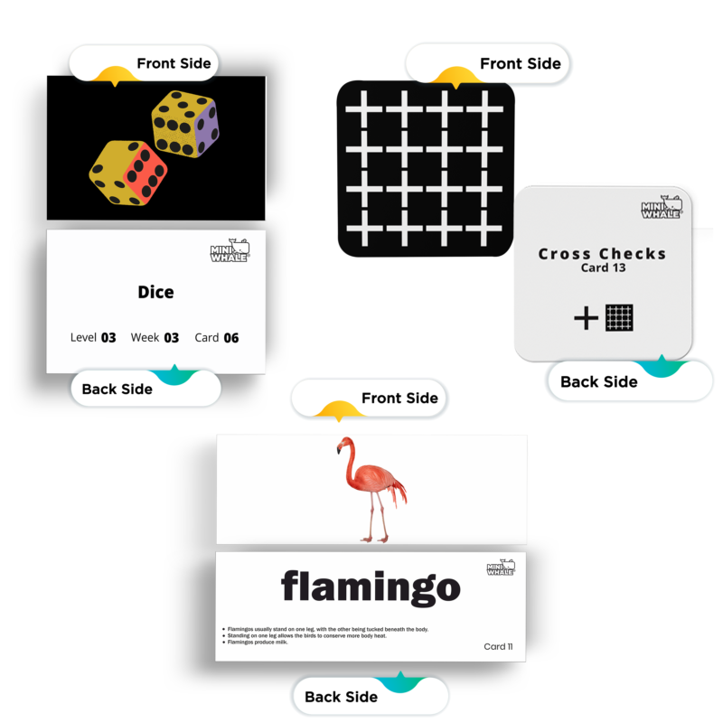 Infant Stimulation Program (15 Months Program) – Miniwhale