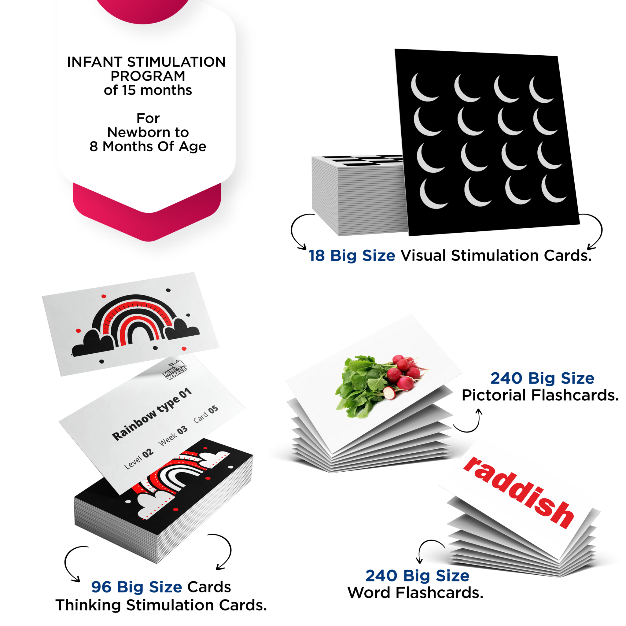 Cognitive Stimulation Program (300 Days Program) - Miniwhale