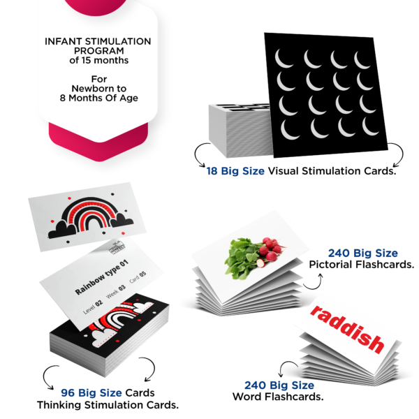 Cognitive Stimulation Program (300 Days Program) – Miniwhale